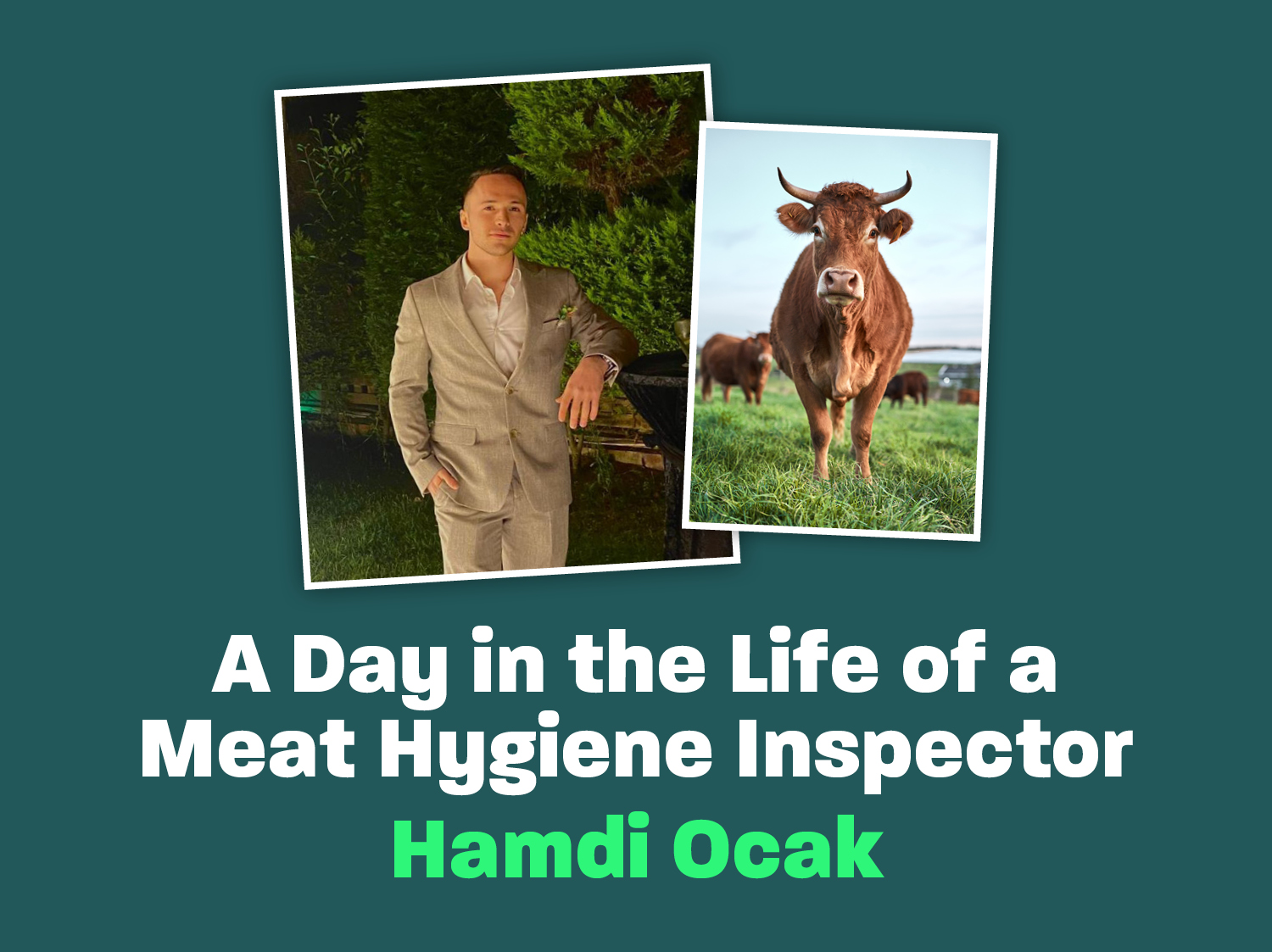 A Day in the Life of a Meat Hygiene Inspector - E&J