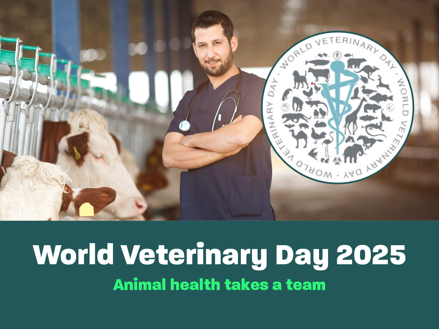World Veterinary Day 2025 - E&J