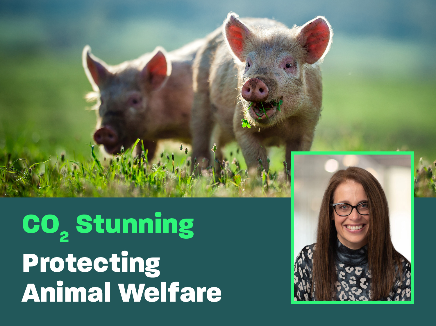 CO₂ Stunning: Protecting Animal Welfare - E&J