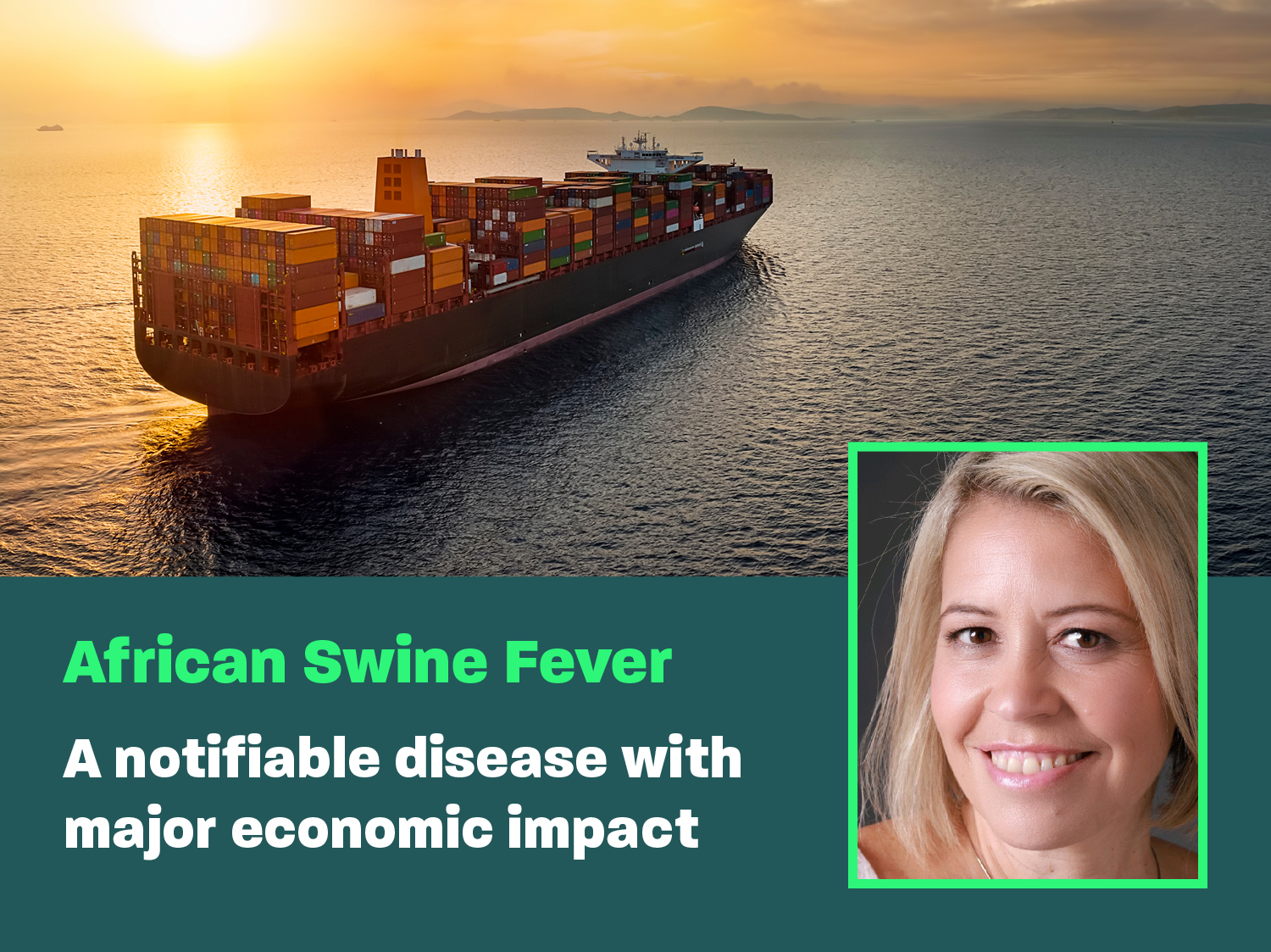 African Swine Fever: a notifiable disease with major economic impact - E&J